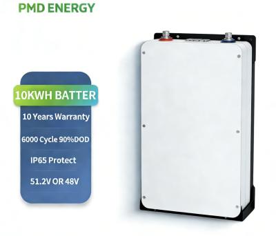 China Powerwall Wall-Mounted Lithium Ion Solar Home Energy Storage IP65 Protection Lifepo4 for sale