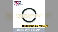 HINO 700 500 Trunnion Seal High Quality Replacement