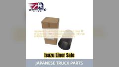 Isuzu Engine Liner TP 8943916020 FSR FVR 6HK1 6HH1