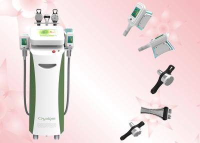 China 5 Handles Vacuum Cool Sculpting Cryolipolysis Slimming Beauty Equipment/Freezing Cellulite for sale