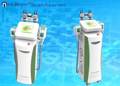 China Ultrasonic Cavitation + RF Slimming Beauty Equipment/Cryolipolysis Machine/Cool Sculpting for sale