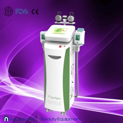China Effective Non-Surgical Cellulite Treatment Cryolipolysis Slimming Beauty Equipment for sale