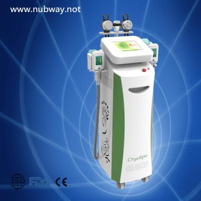 China Latest Coolsculping Cryolipolysis Weight Loss Machine For Non-Invasive Body Slimming for sale