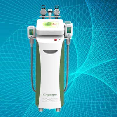 China 5 Handles Multi-functional Cryolipolysis Fat Freezing Weight Loss Beauty Machine for sale