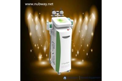 China 2014 New Trend Non-Surgical Fat Freezing Coolsculping Cryolipolysis Slimming Machine for sale
