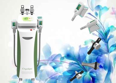 China Hottest ! 2 Handles Non-Surgical Fat Reduction Cryolipolysis beauty Equipment for sale