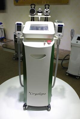 China Newest Non-Invasive Woman Body Sculping Cryolipolysis Body Liposuction Machine for sale