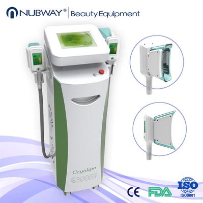 China Manufacturer Price Attractive Appearance Best Cryolipolysis Slimming Machine for sale