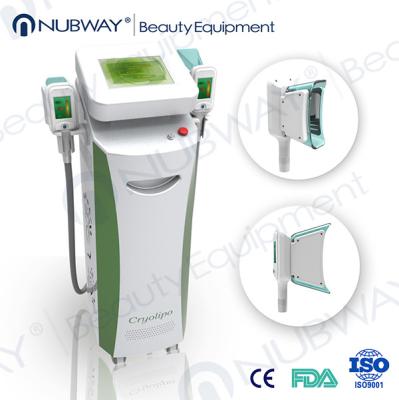 China Chinese Best Manufacturer 2 Handles Fat Freezing Cryolipolysis Machine Slimming for sale