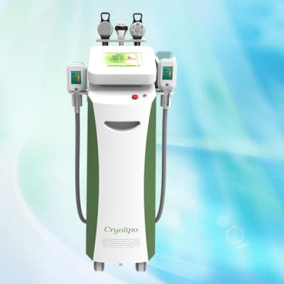 China Best Selling Cryolipolysis Machine Freezing Fat for sale