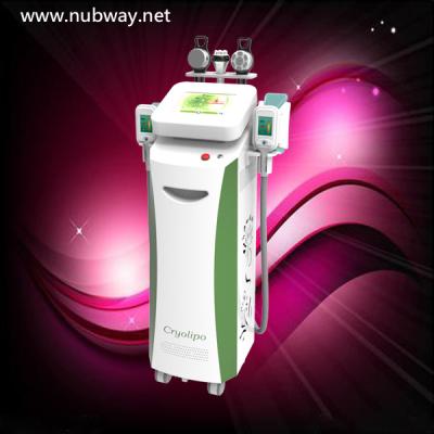 China 2015 Newest Cryo Tech For Weight Loss Cryolipolysis Body Slimming Beauty Machines for sale