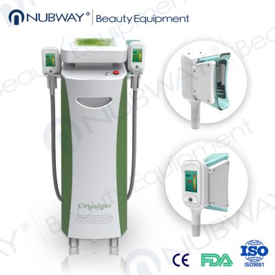 China Best Price Cryolipolysis Body Contouring Machine for sale