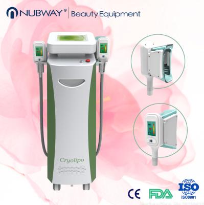 China Nubway C122 Bestseller Beautiful Design Cryolipolysis Weight Loss Machine for sale