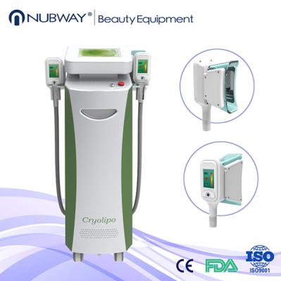 China 2015 CE Approval Fat Loss Cryolipolysis Freeze Sculptor With 2 Big Heads for sale