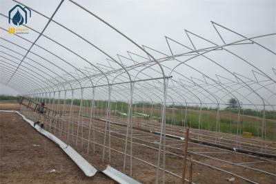 China Estufas de 5 m a 12 m de largura com sistema de irrigação por gotejamento à venda