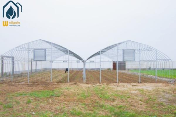 Commercial Tunnel Multi Span Greenhouse High Yield Cultivation Greenhouse