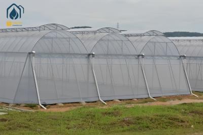 China Energy Saving Large Scale Agriculture Multispan Greenhouse For Tropical Regions for sale