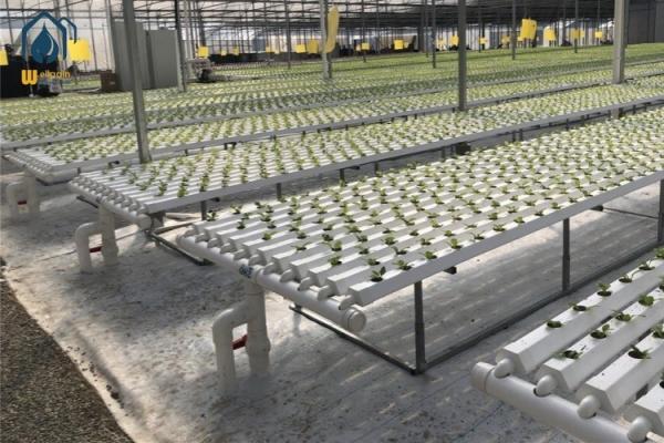 Quality High Yield Agriculture Hydroponic Growing System Greenhouse NFT Growing Troughs for sale