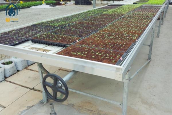 Flood Water Drain Grow Ebb And Flow Rolling Benches ABS Tray Hydroponic Planting Equipment