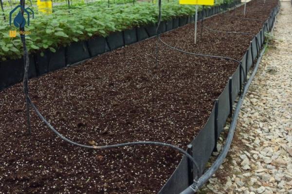 Plastic Hydroponic Tomato Planting Trough PP Roll Black White For Soilless Cultivation