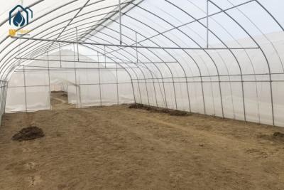 Cina PE PO Film Tunnel Serra Commerciale Serra Agricola Personalizzabile in vendita