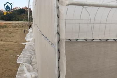 Cina Serra commerciale in galleria Serra a pellicola di plastica a lunghezza singola per ortaggi in vendita