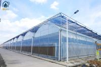 Quality Custom Plastic Multi Span Greenhouse For Optimal Crop Growth And Efficiency for sale