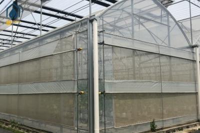 Cina Agricoltura Multi-Span Frigole Verdeggiatura Scatter di plastica Tonnello di pomodori Verdeggio in vendita