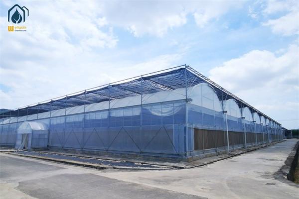 Quality Commercial Multi Span Plastic Agricultural Greenhouse With Polyethylene Cover for sale