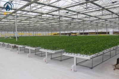 Cina Serre commerciale a larga scala con sistema di irrigazione automatico in vendita