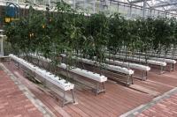 China Vegetables PVC Drainage Substrate Planting Gutter Troughs Hydroponic Trough System for sale