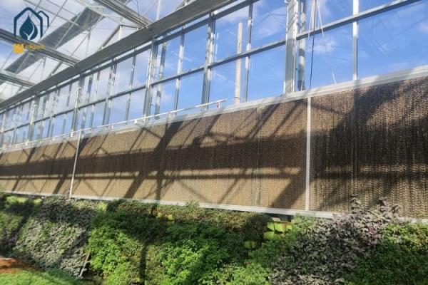 Quality Large Size Glass Multi Span Greenhouse Structure Agricultural Tomato Farming for sale