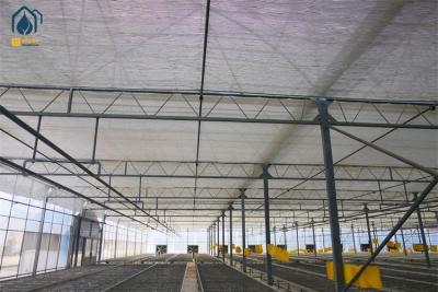 China Large Agricultural Tunnel PC Greenhouse Polycarbonate Vegetable Growing Greenhouse for sale