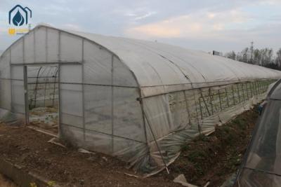 Cina Serra a tunnel per pomodori e serra tunnel per ortaggi per raccolti prolungati in vendita