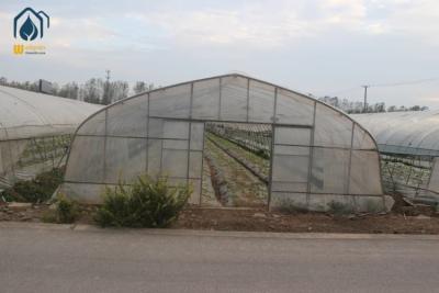Cina Tunnel agricolo commerciale per serra in polietilene per una maggiore produzione di colture in vendita