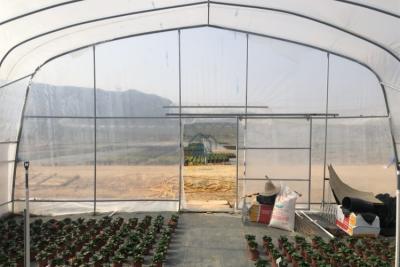 중국 고강도 상업용 농업용 폴리 터널 온실 - 채소 및 과일 재배용 판매용