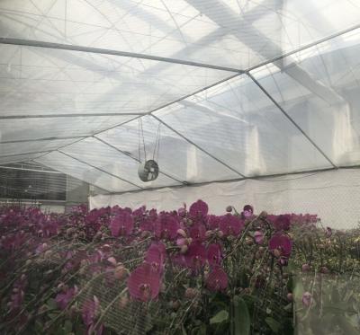 China Outdoor Green House Metal Frame Farming Agriculture Commercial Large Multi-span Plastic Greenhouse For Plants for sale