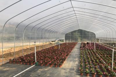 China Hot-Dip Galvanized Agricultural Greenhouses and Farm Tunnel Greenhouse Plastic Film Cultivation For Hydroponic Planting for sale