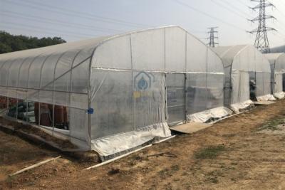 China Customized Size Durable Agricultural Tunnel Type Greenhouse Solar Dryer Greenhouse with UV Treated Plastic Film for sale