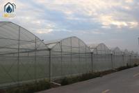 Quality Herb Greenhouse Multi Span Indoor Green House For Year Round Cultivation for sale