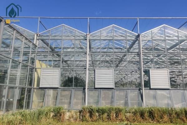 Quality Large Tempered Glass Greenhouse For Growing Organic Vegetables Year Round for sale
