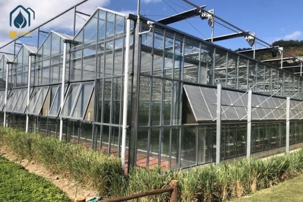 Quality Transparent Hydroponic Glass Greenhouse For Year Round Organic Vegetables for sale