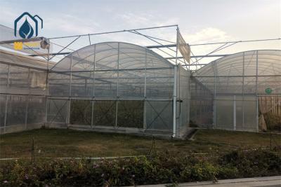 China All Season Commercial Multi Span Greenhouse with Supplemental LED Grow Light Integration... for sale
