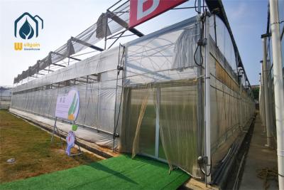 China Winter Ready Multi Span Greenhouse with Thermal Insulation and Frost Protection Design... for sale