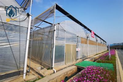 China Full Enclosure Insect Protection Multi Span Greenhouse with 60 Mesh Fine Netting... for sale