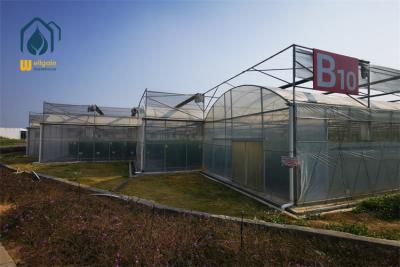 China 50 Mesh Insect Net Multi Span Greenhouse with Integrated Side Vent Screens WELLGAIN Agricultural Greenhouse Solution for sale