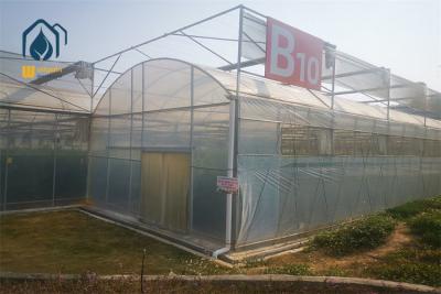 China Crystal Clear High Transparency Multi Span Greenhouse for Flower and Seedling Growth... for sale