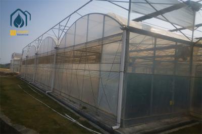 China 8mm Twin-Wall Polycarbonate Panel Multi Span Greenhouse with Superior Insulation... for sale