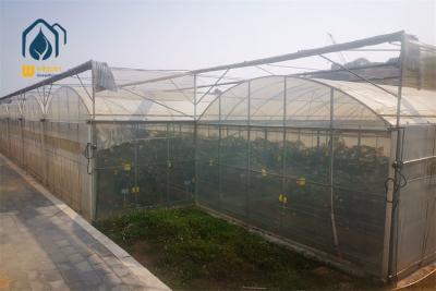 China Dual Internal and External Shading Multi Span Greenhouse for Light Sensitive Crops... for sale