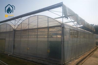 China External Sunshade Net Multi Span Greenhouse with Motorized Black Shade Screen WELLGAIN Agricultural Greenhouse Solution for sale